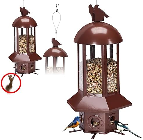 Amazon.com : Professional Squirrel Proof Bird Feeders - Sorflife Large ...