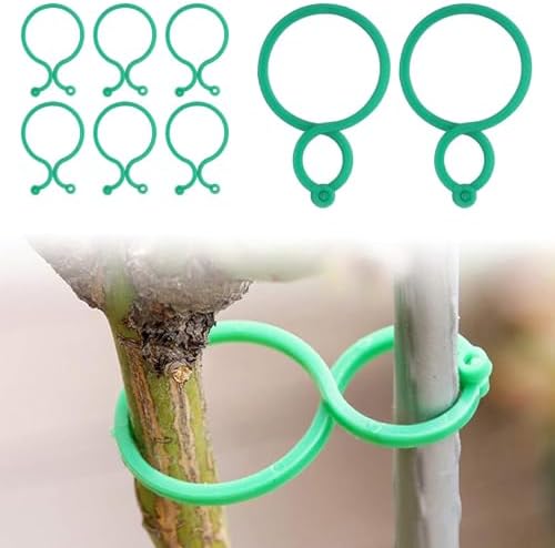 Amazon.com: Hysagtek 100 Pcs Plant Clips for Climbing Plants Garden ...