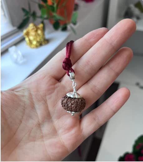 VDesign Ekkis Mukhi Rudraksha Blessed 21 Mukhi Nepali Rudraksha Ekkees ...