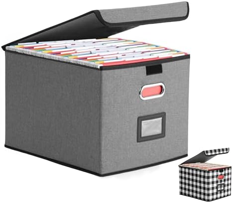 Amazon.com: Storage File Boxes - File Box Organizer with Lid and ...