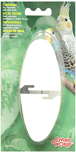 Salvador Budgie's Amazon Page