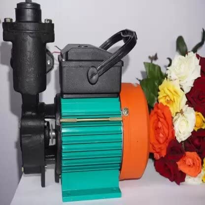 CRI ELSA 100 1.0HP Centrifugal Water Pump (1 hp) : Amazon.in: Home ...