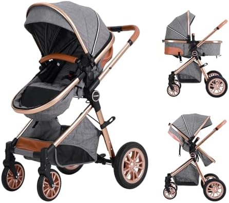 Amazon.com : Cochildor DuraFlex 2-in-1 Baby Stroller, Foldable Travel ...