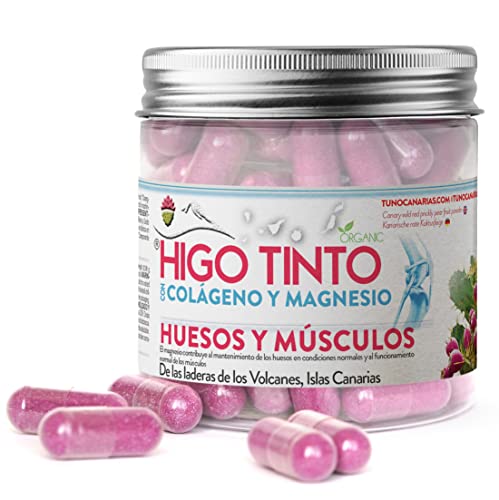 ¿Qué es y para qué sirve el higo tinto?: Propiedades y beneficios - Mi ...