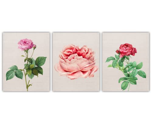 Amazon.com: Vintage Pink Roses Botanical Farmhouse Wall Art Poster ...