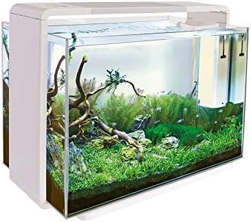 Amazon.com : Superfish Home 110 Aquarium : Pet Supplies