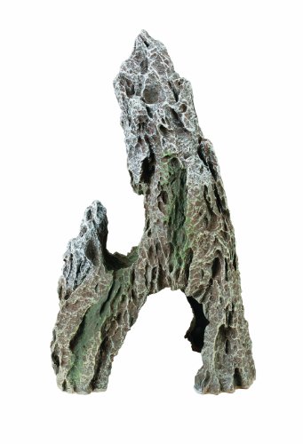 9 Best Safe Rocks For Freshwater Aquarium | Aqua Movement