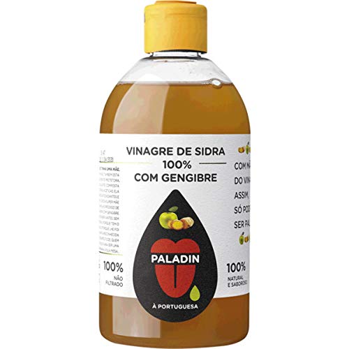Amazon.com : Paladin Cider Vinegar 100% ginger bottle with 500 ml ...