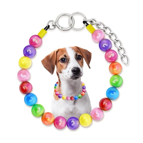 Amazon.com: JOGIA Rainbow Dog Necklace for Small Dogs - Adjustable Dog ...