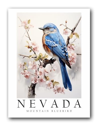 Amazon.com: Mountain Bluebird, The State Bird of Nevada, Poster Print ...
