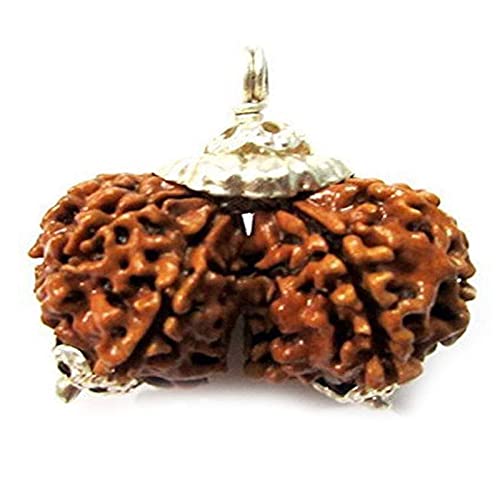 Earthmine Gems Gauri Shankar Rudraksha Pendant Genuine Beads Standerd ...