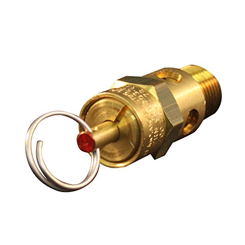 Milton S-1090-200 1/4" MNPT ASME Safety Valve - 200 PSI Pop off ...