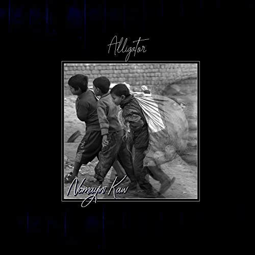Amazon.co.jp: Nomayini Kaw : Alligator: Digital Music