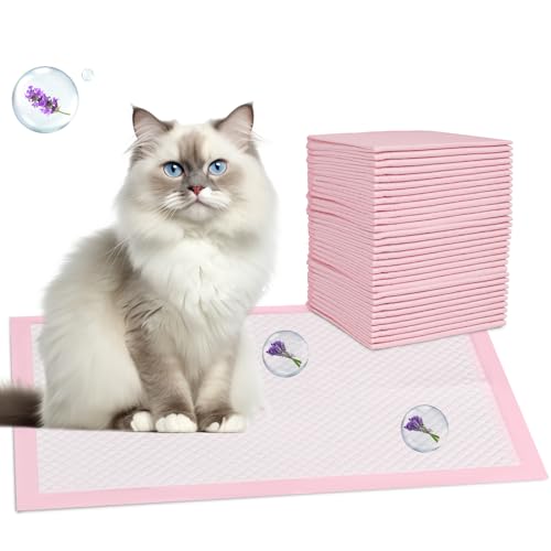Pee Pads for Cats – The 15 best products compared - Wild Explained