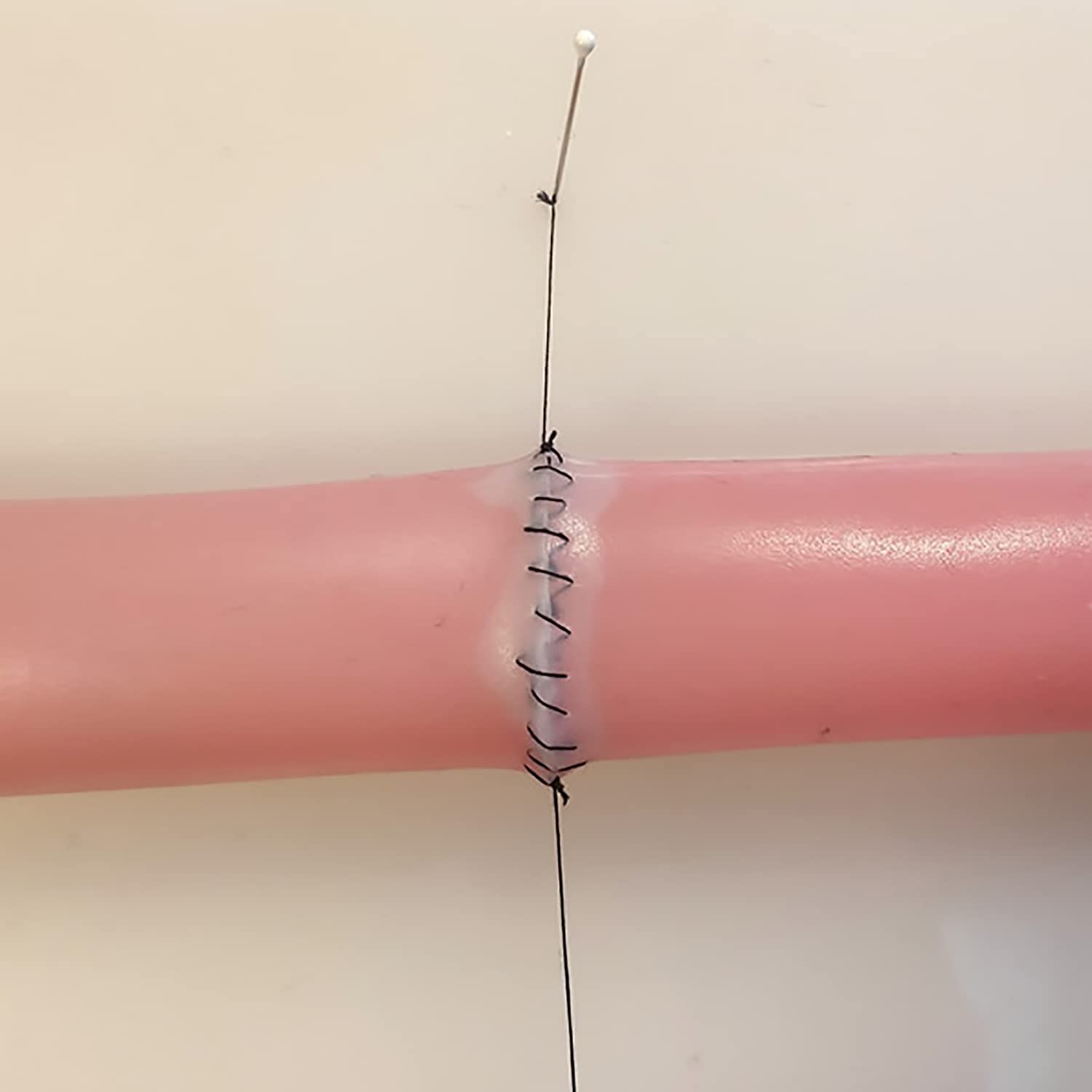 Buy GKPLY Intestinal Mucosal Suture Model, Large Blood Vessel Serosal ...