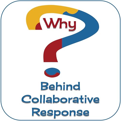 Amazon.com: Why Behind Collaborative Response : Jigsaw Learning: Books
