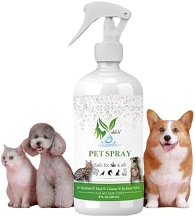 Amazon.com: VoilaVe Hot Spot Spray Treatment for Dogs & Cats - Pet ...