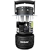 Amazon.com: Rayovac Sportsman LED Camping Lantern, Battery Powered ...