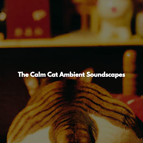 Écouter The Calm Cat Ambient Soundscapes par Jazz Sensuale & Quiet Light Jazz Academy sur Amazon ...