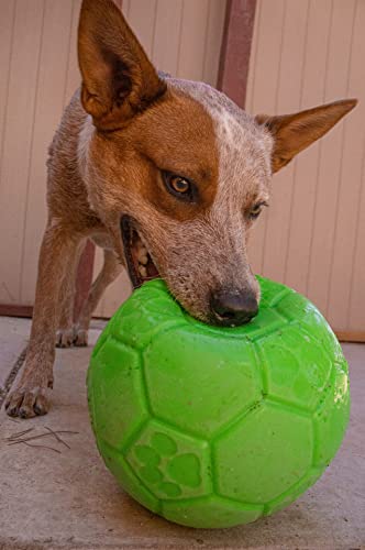 Jolly Pets Medium Soccer Ball Floating-Bouncing Dog Toy, 6 inch ...