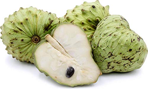 Creative Farmer Live Fruit Plant Graviola Annona Muricata Soursop ...