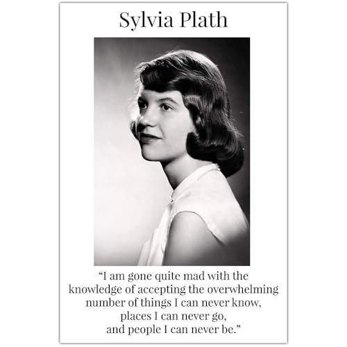 Amazon.com: Sylvia Plath Mad Quote Wall Art Classroom Décor Poster ...