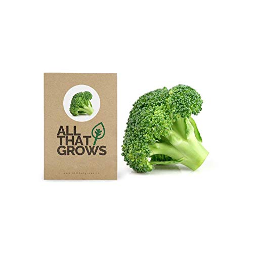 XXL-89-Grows Broccoli Seeds, Non-GMO Broccoli Vegetable : Amazon.in ...