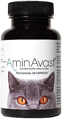 RenAvast Kidney Support for Cats (60 capsules) : Amazon.co.uk: Pet Supplies