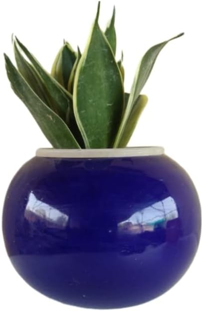 Shagun Farm- Ceramic Pot Royal Blue Round Ceramic Pot, only Pot 5.5 ...