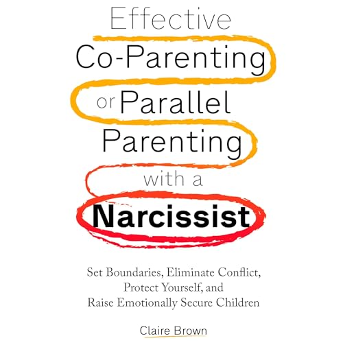 Amazon.com: Effective Co-Parenting or Parallel Parenting with a ...