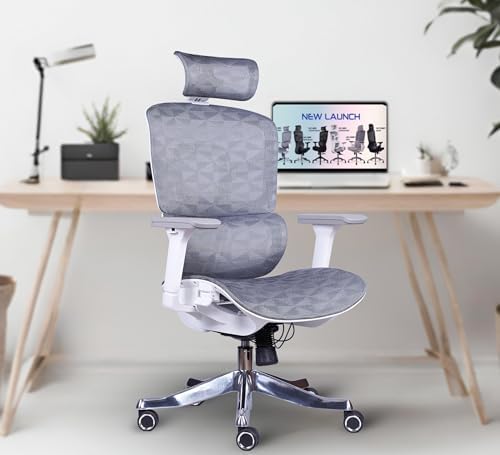 Frido AeroMesh Ergo Chair, Adjustable Armrests & Headrest, Lumbar ...