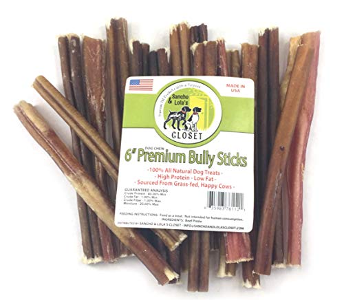 10 Amazing Sancho And Lola Products That Will Make Your Pet's Life ...