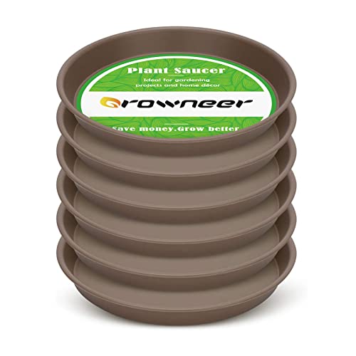 Snapklik.com : 6 Packs 8 Inches Plant Saucer Drip Trays, Suit For Pots ...