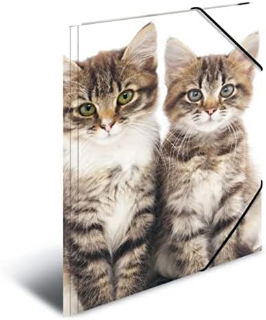 HERMA Sammelmappe A4 Katzen, Kinder Eckspanner-Mappe aus Kunststoff mit ...