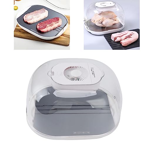 Defrosting Tray for Frozen Meat, Fast Thawing Plate Board Atomized ...