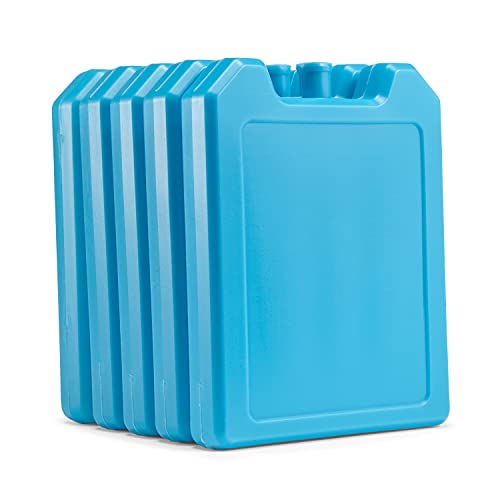 Snapklik.com : Cool Coolers, 5 Pack Days Of The Week Ice Blocks ...