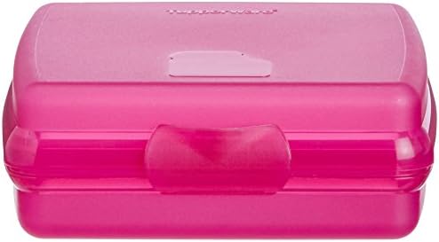 Buy Tupperware Sandwich Keeper in Cool Aqua Online at Low Prices in ...