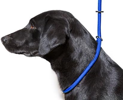 Dog & Field Deluxe Gundog Slip Lead - Natural Brown. Soft Spliced ...