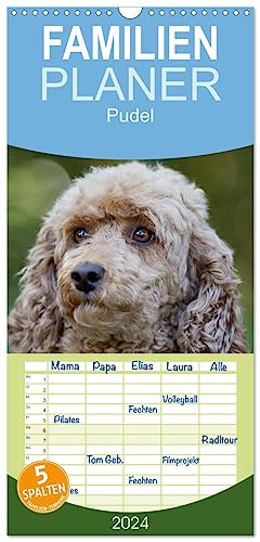 Pudel Kalender 2023 – Die 15 besten Produkte im Vergleich & Angebote ...