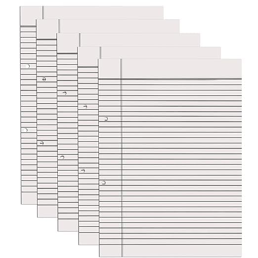 Bluedeal A4 Ruled White Project Sheets Loose Leaf Filler Paper, 100 ...