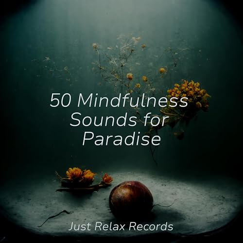 Spiele 50 Mindfulness Sounds for Paradise von Bird Sounds, Study Hard & Guided Meditation auf ...