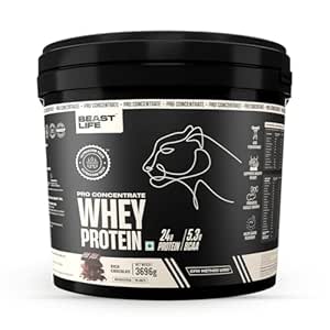 BeastLife Whey Protein Powder Rich Chocolate With Ultrasorb Tech,24G ...