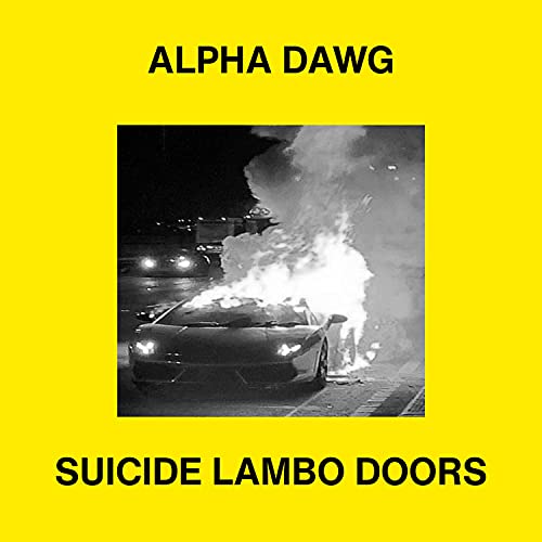 Suicide Lamborghini Doors