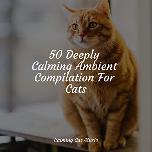 Amazon MusicでRelaxMyCat, Cat Music Dreams & Pet Care Music Therapyの50 ...