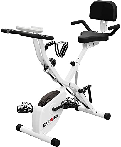 The 10 Best Exercise Bike Under $300