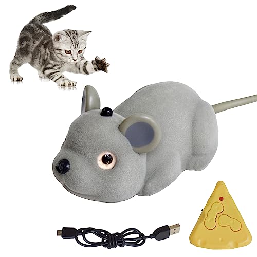 Remote Control Cat Toy – The 15 best products compared - Wild Explained