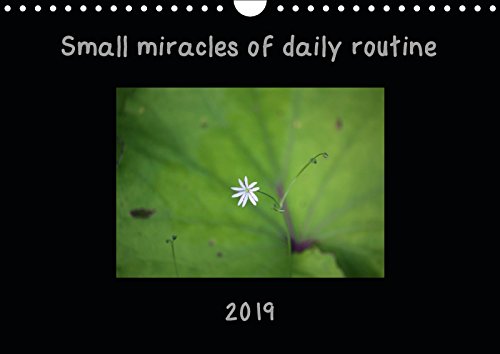 Buy Small miracles of daily routine 2019: The inspiring year with small ...