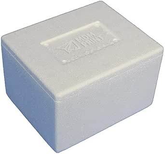 Amazon.com: Insulated Bio Foam Shipping Container, Inside 6”L x 4.5”W x ...