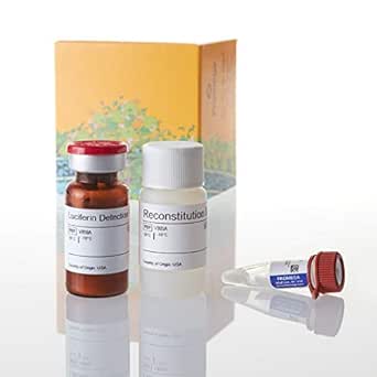 P450-Glo CYP1A2 Assay, 10ml: Amazon.com: Industrial & Scientific