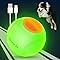Pet Supplies : Xeuch LED Dog Ball Rechargeable, Light Up Dog Ball Toys ...